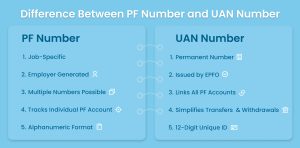 How to Find PF Account Number? Step-by-Step Guide - Surepass