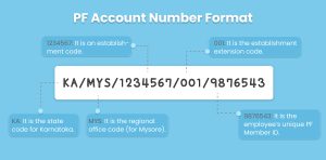 How to Find PF Account Number? Step-by-Step Guide - Surepass