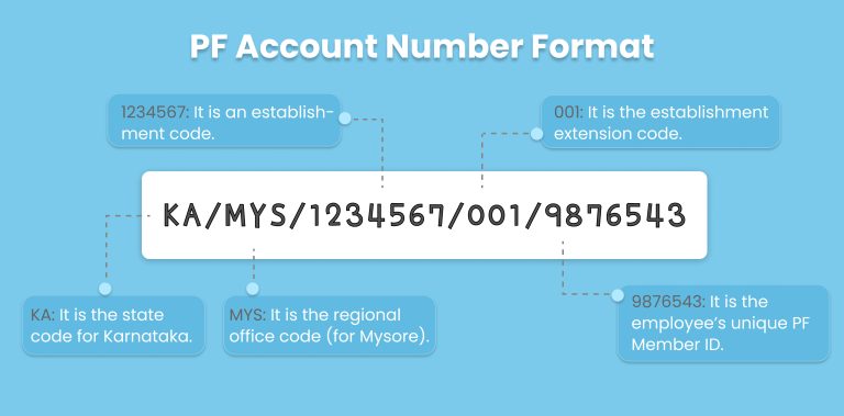 How to Find PF Account Number? Step-by-Step Guide - Surepass